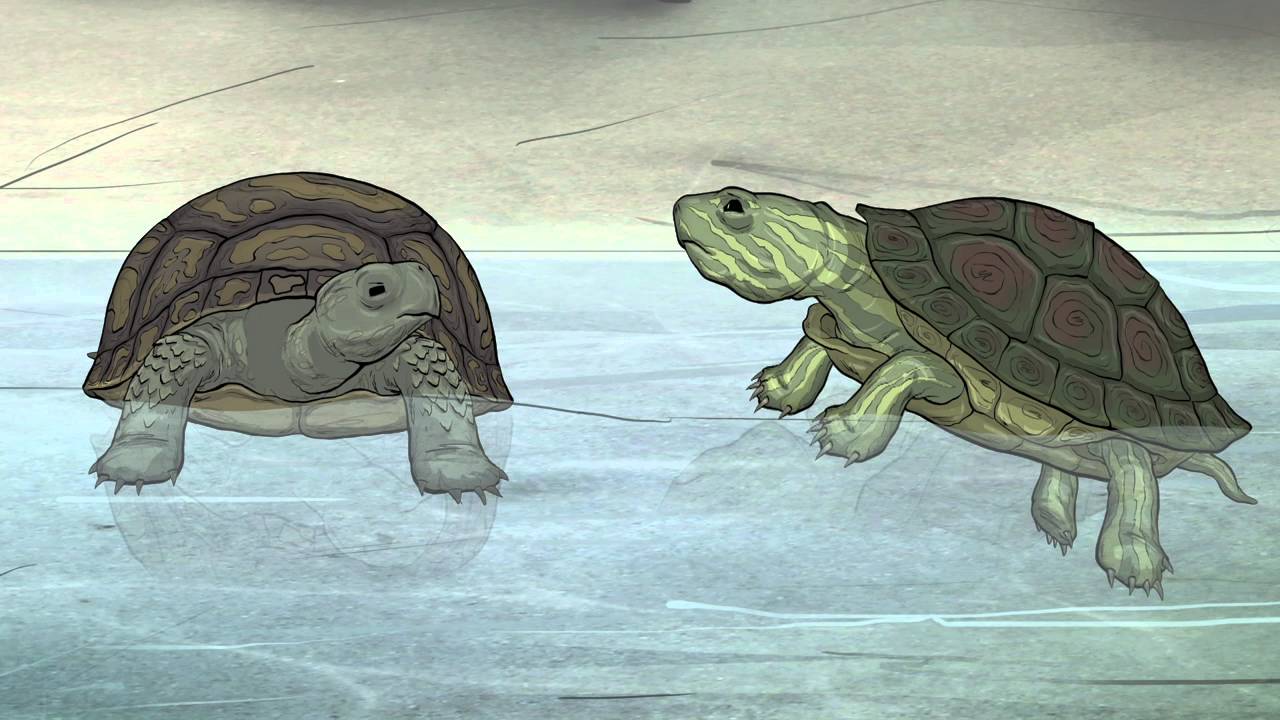 Animals. Season 1: Episode #6 Preview (HBO) - YouTube