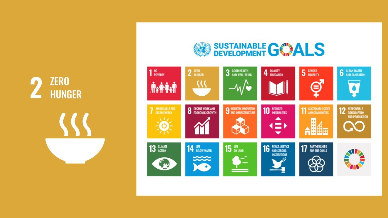 SDG 2: Zero Hunger Explained – Why Ending Hunger Matters for Everyone ...