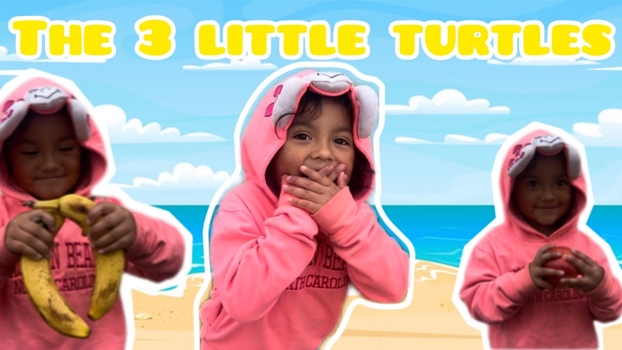 The 3 little turtles and the seagull! - YouTube