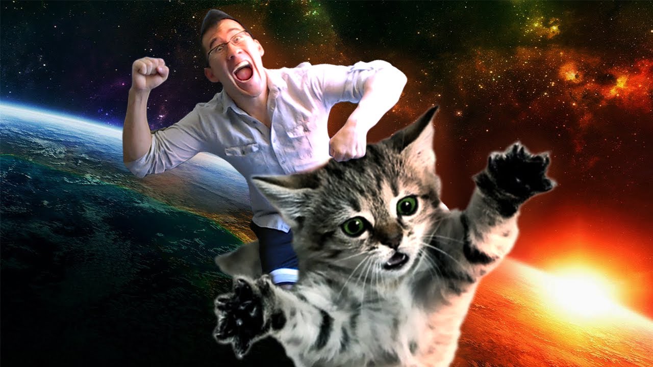 The Cat That Got The Milk - YouTube