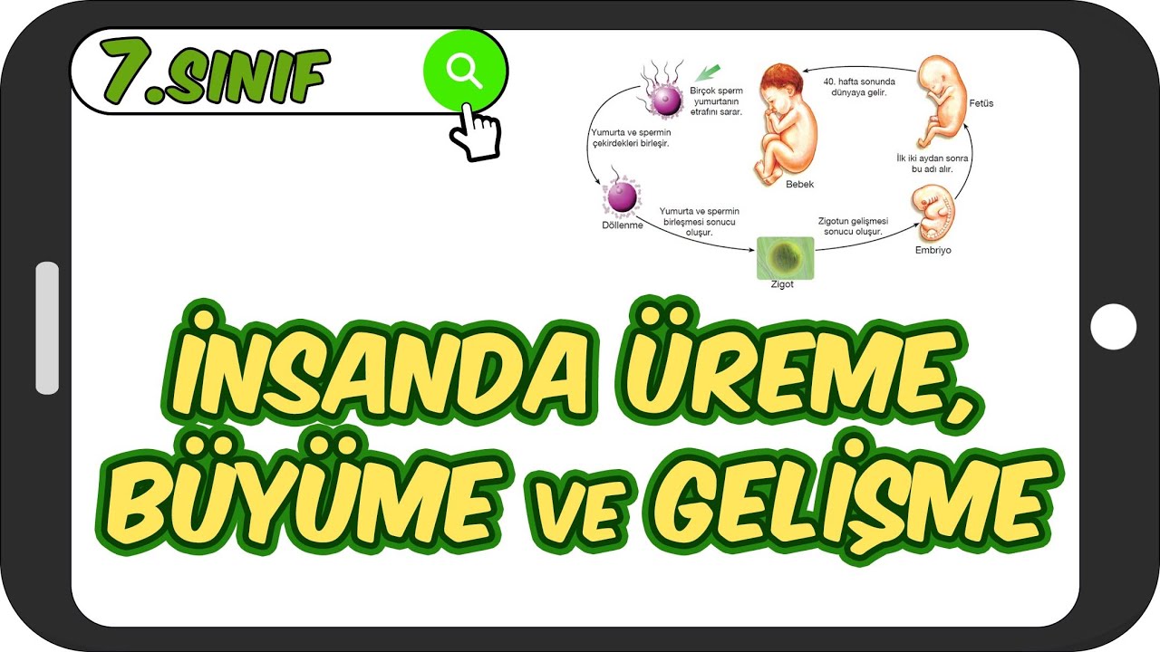İnsanda Üreme, Büyüme ve Gelişme 📗 7.Sınıf Fen #2023 - YouTube