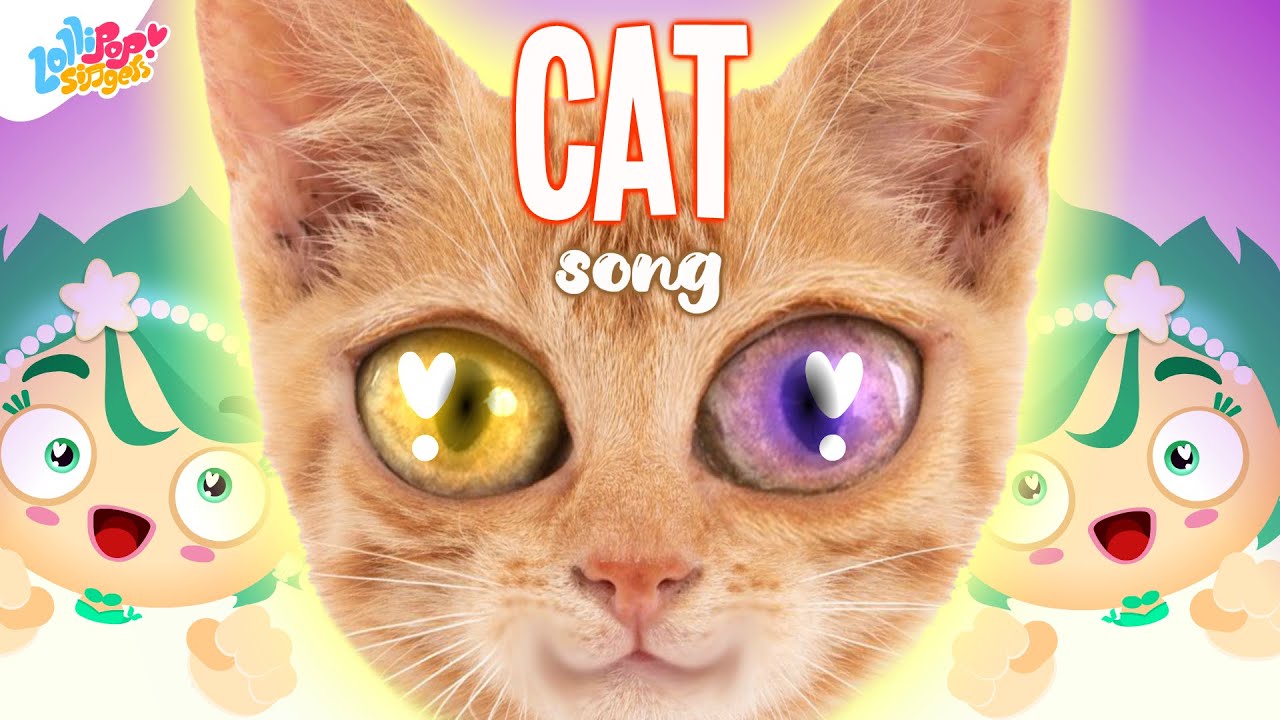 Cat Song |Lollipop Singers - YouTube