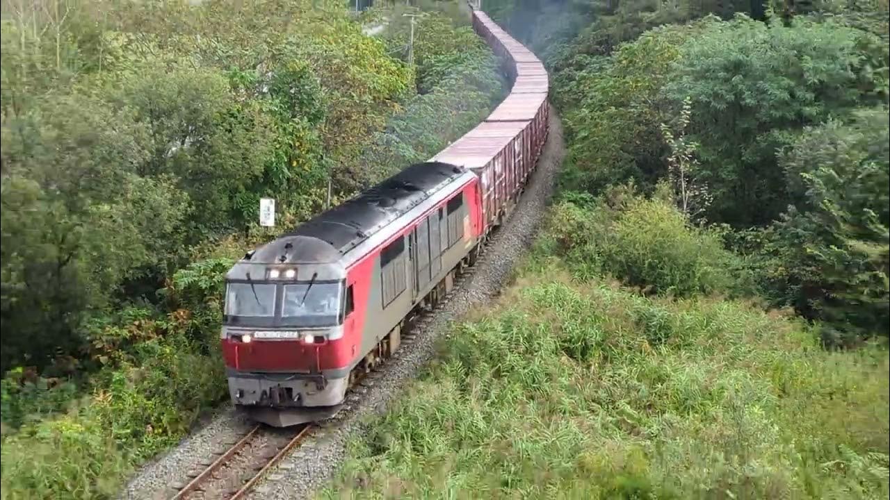 DF200 大成カーブ - YouTube