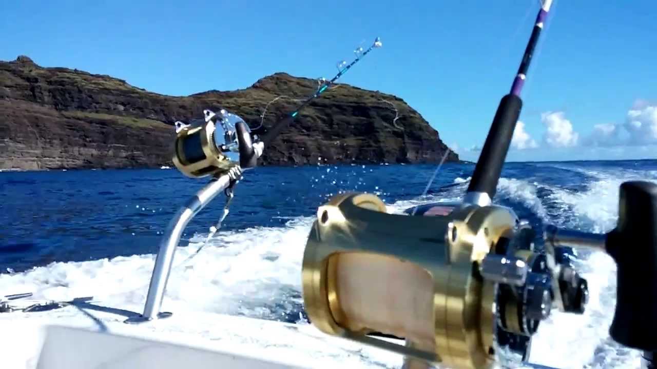 patrolling for opelu live bait - YouTube