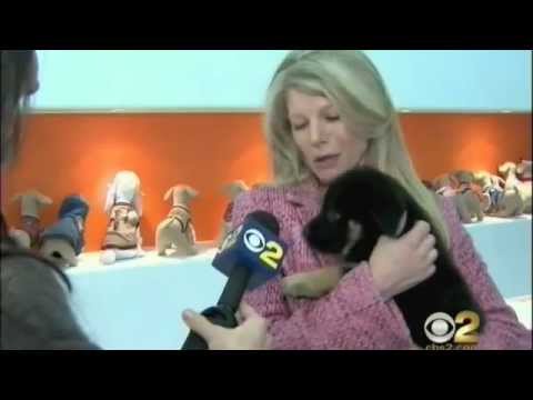 Kim Sill's Media Reel