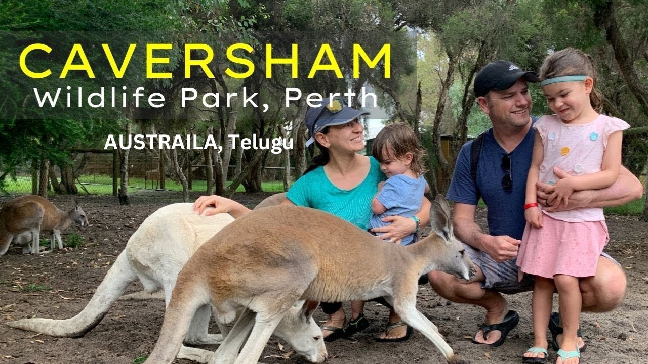 Caversham Wild Life Park, Perth, Australia - Telugu - YouTube