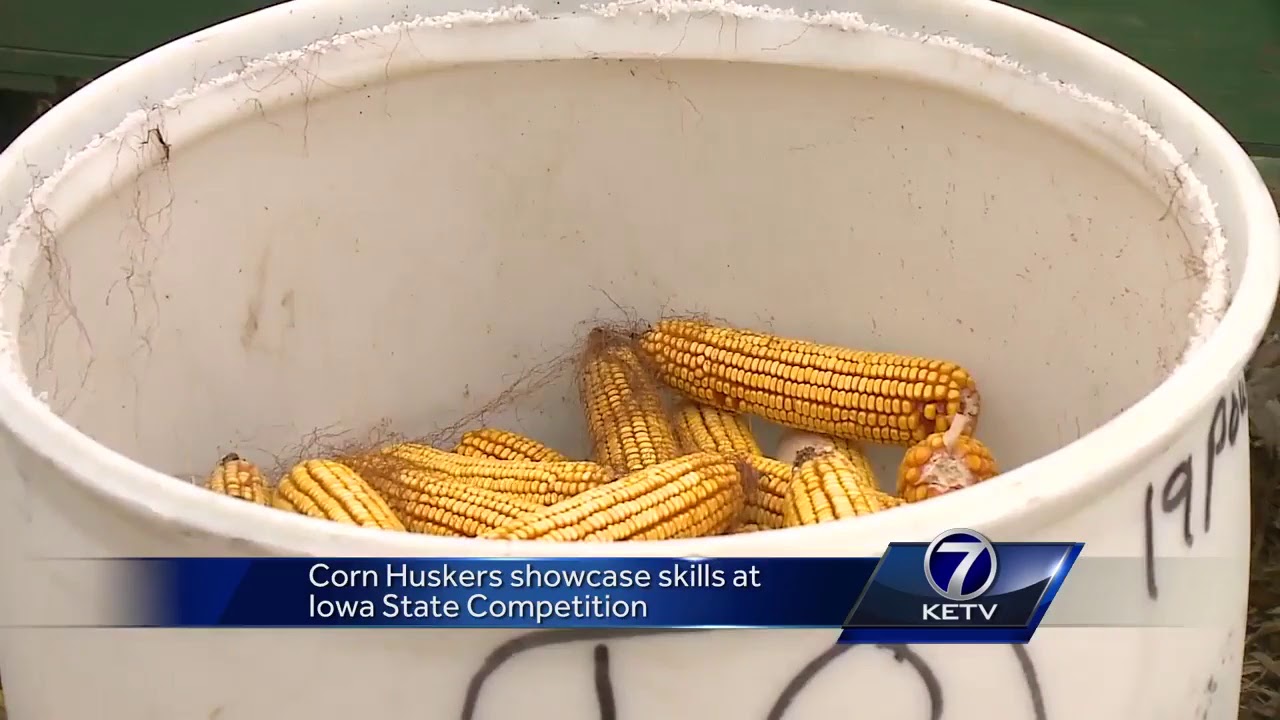Huskers strut their stuff at the Iowa State Corn Husking Competition ...