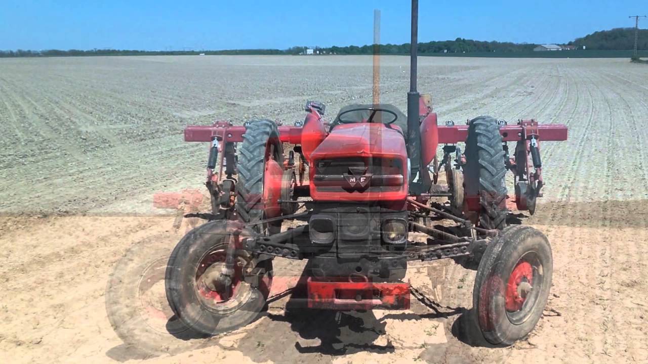 Massey-Ferguson 140 + bineuse Kongskilde 6 rangs Betterave, Essonne ...