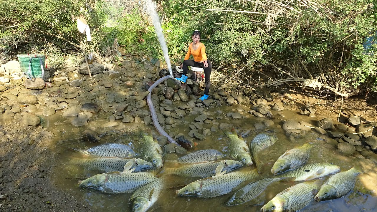 Video Fishing: İnteresting Fishing Techniques / Catching Many Big Fish ...