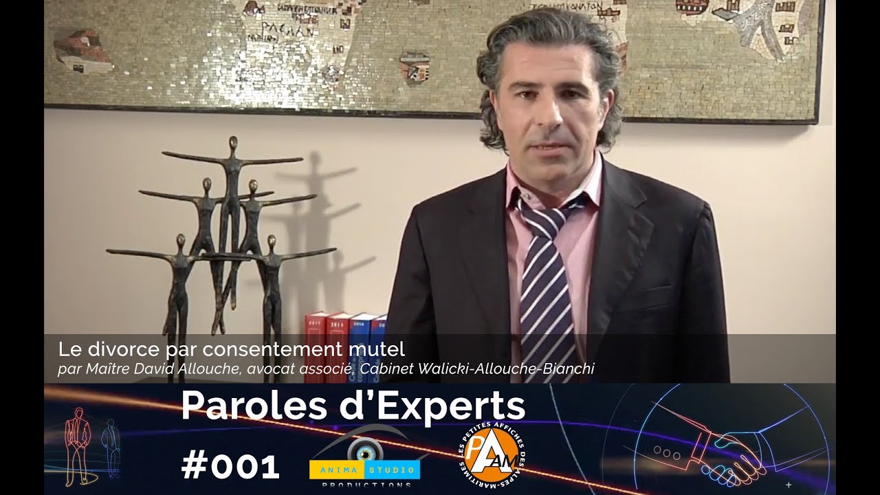 Paroles d'Experts #1 - Le divorce par consentement mutuel - Maitre ...