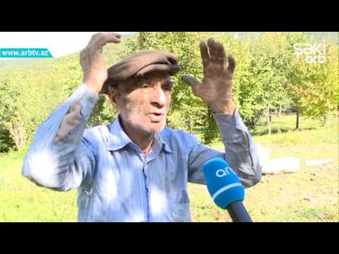 SHEKININ BAS SABALID KEND SAKINLERI TESVIS ICINDE