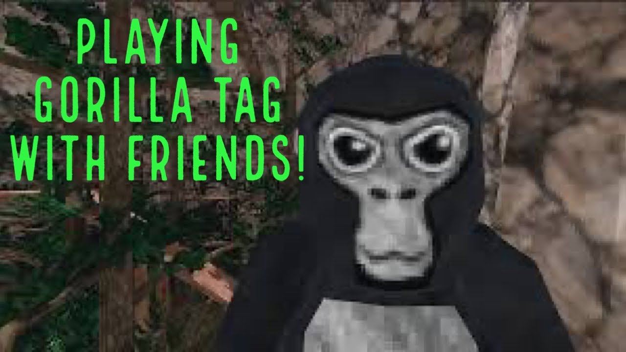 Playing Gorilla Tag With Friends! - YouTube