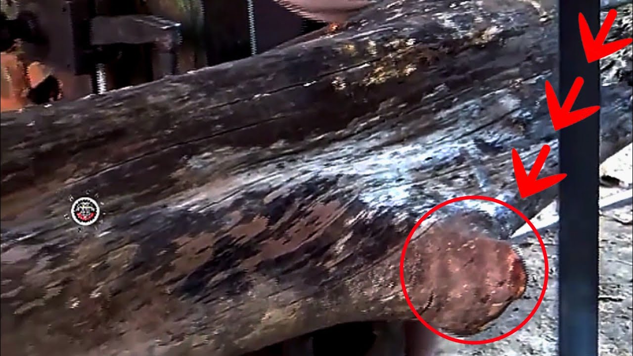 A Very Painful Test || Sawing Deformed Ancient Wood || sawmill - YouTube