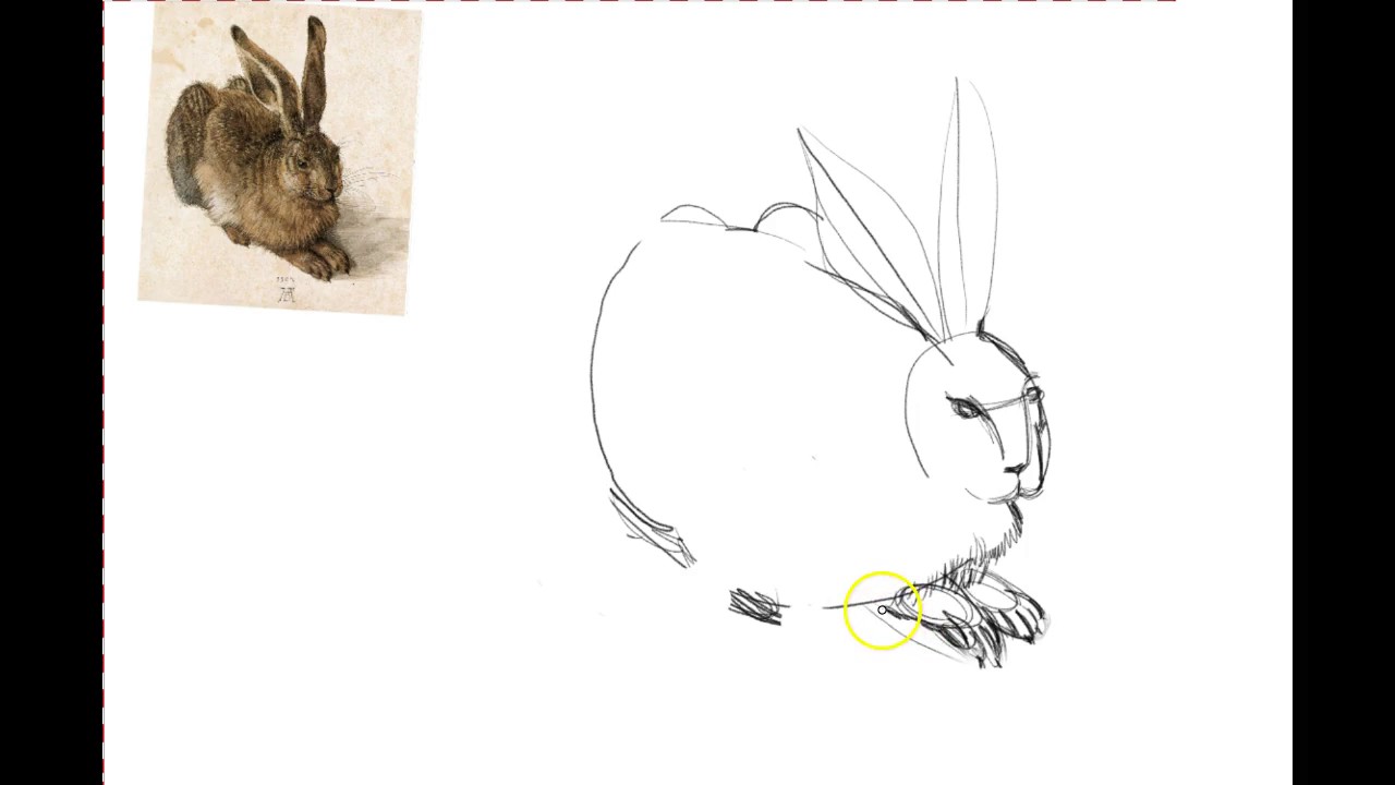 Young Hare Albrecht Durer