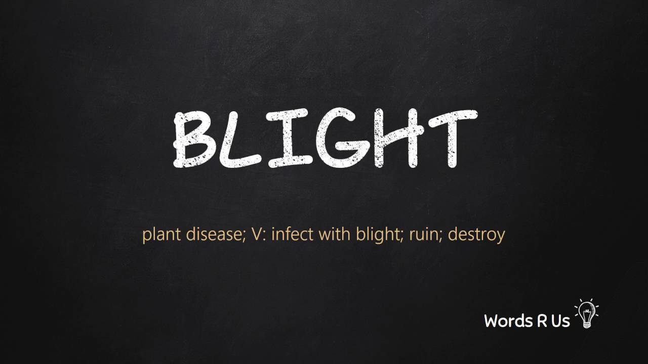 How to Pronounce BLIGHT in American English - YouTube
