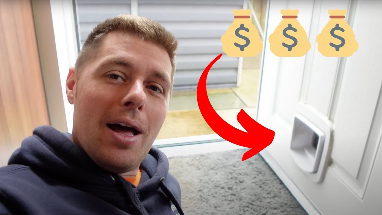 Testing Expensive Cat-Tech. - YouTube