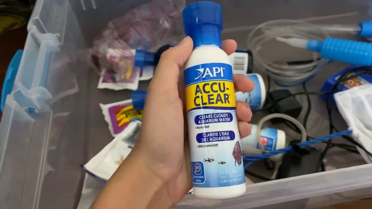 How do you get a foggy tank to a clear tank? - YouTube