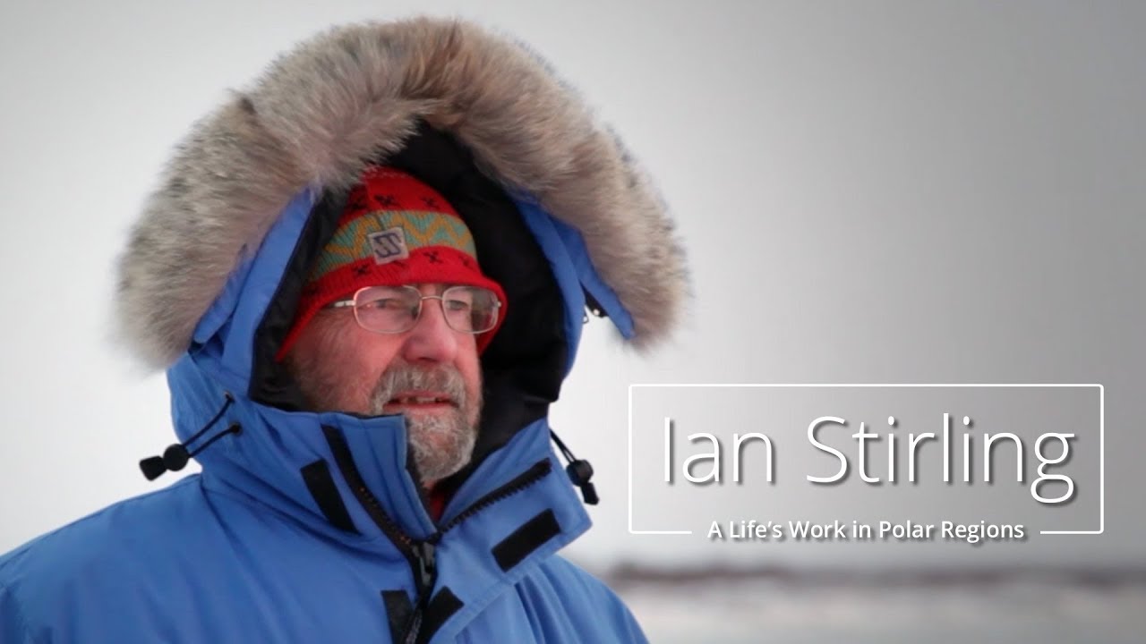 Ian Stirling — A Life's Work in Polar Regions - YouTube