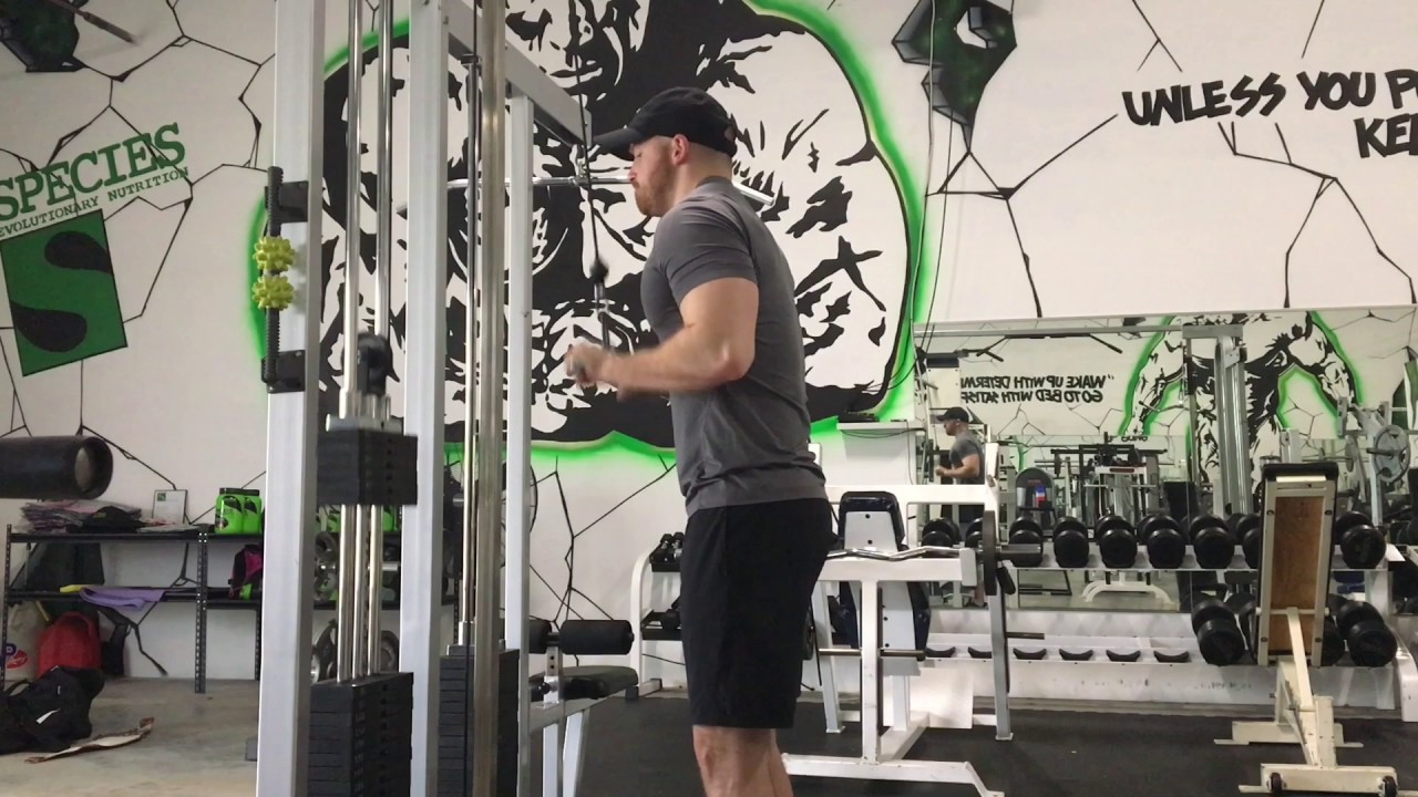 Triceps Pushdown with Straight Bar - YouTube