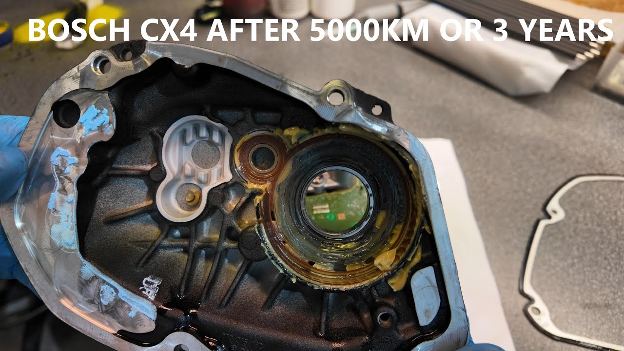 BOSCH CX4 PERFORMANCE LINE - DISASSEMBLE | CLEAN AND GREASE | AFTER ...