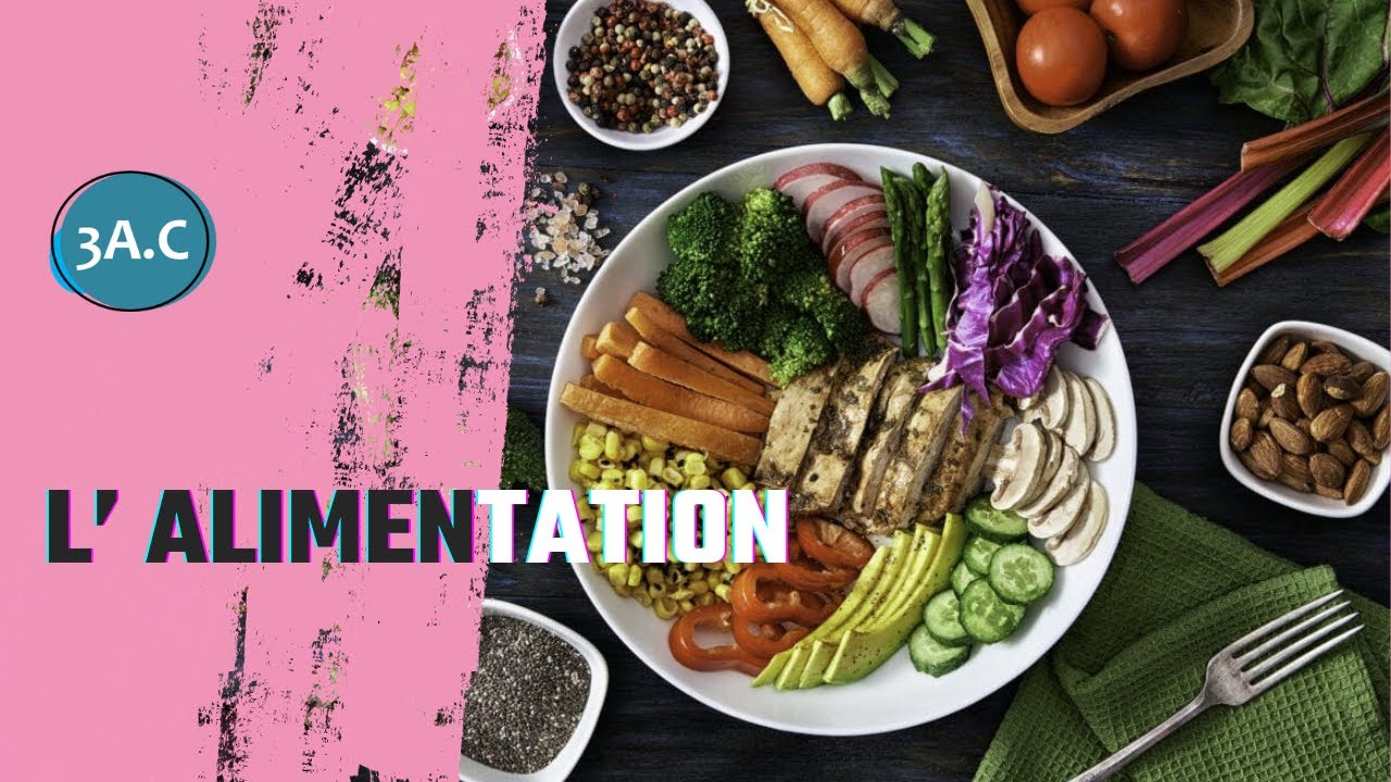 L' Alimentation - 3A.C - YouTube