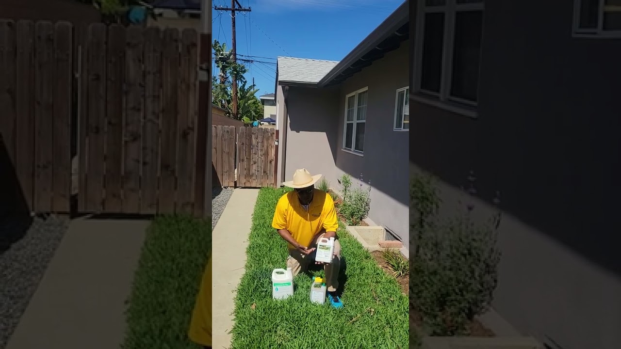 The Results Of Using Hydretain Soil Moisture Manager & SeaExtra ...