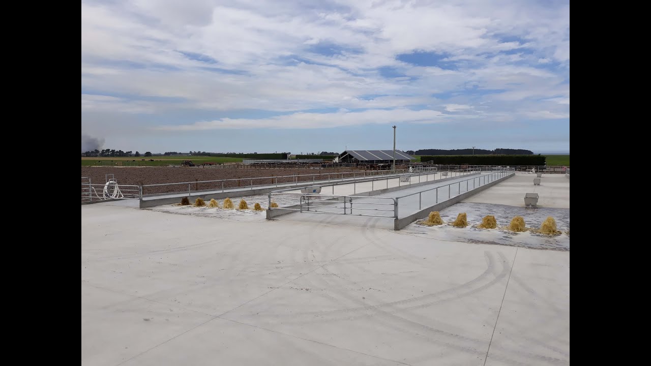 Effluent Flood Wash - YouTube