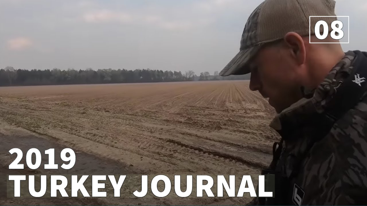 2019 Georgia Turkey Hunting - 2019 Turkey Journal | Episode #8 ...