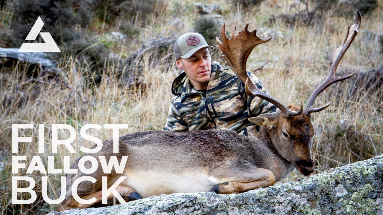 Hunting For My First Fallow Buck…We Found a Giant! With Blackstone ...
