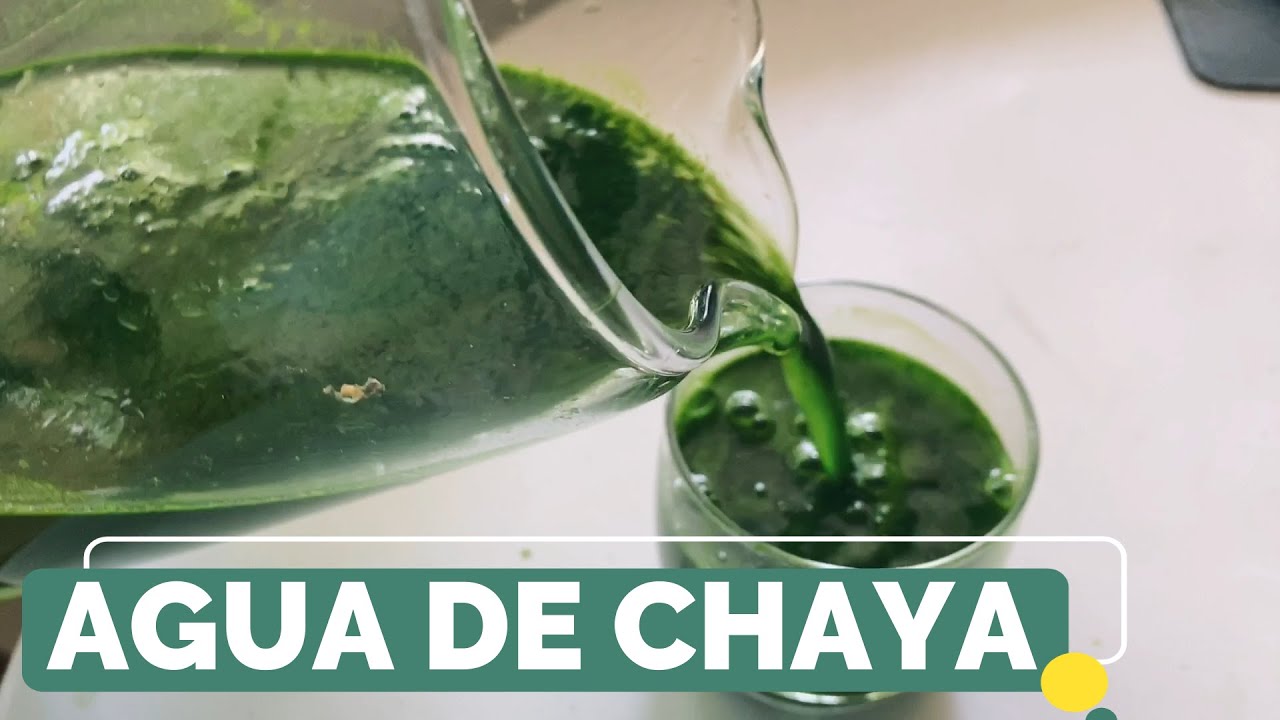 Agua de Chaya !!! 🥃 🌿 - YouTube
