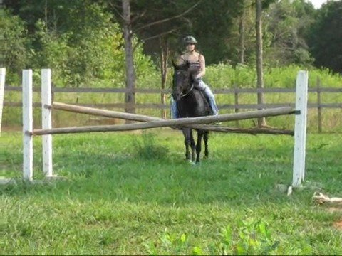 Jumping Gunther Swedish Oxer - YouTube