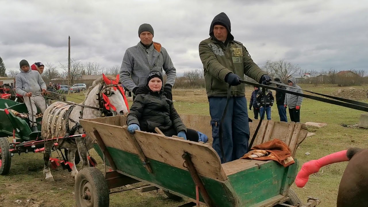 Garbovi parada cailor Boboteaza 2020 - YouTube