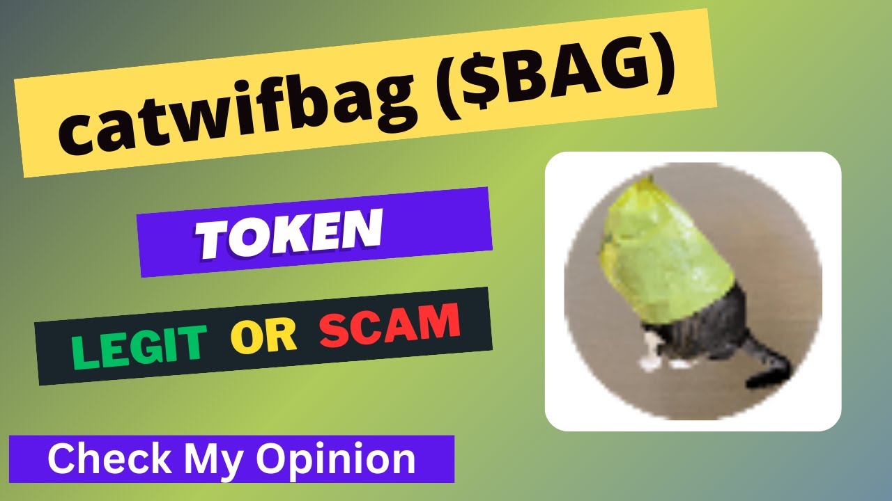 catwifbag (BAG) Token is a Legit or Scam | Is BAG token Legit or Scam ...