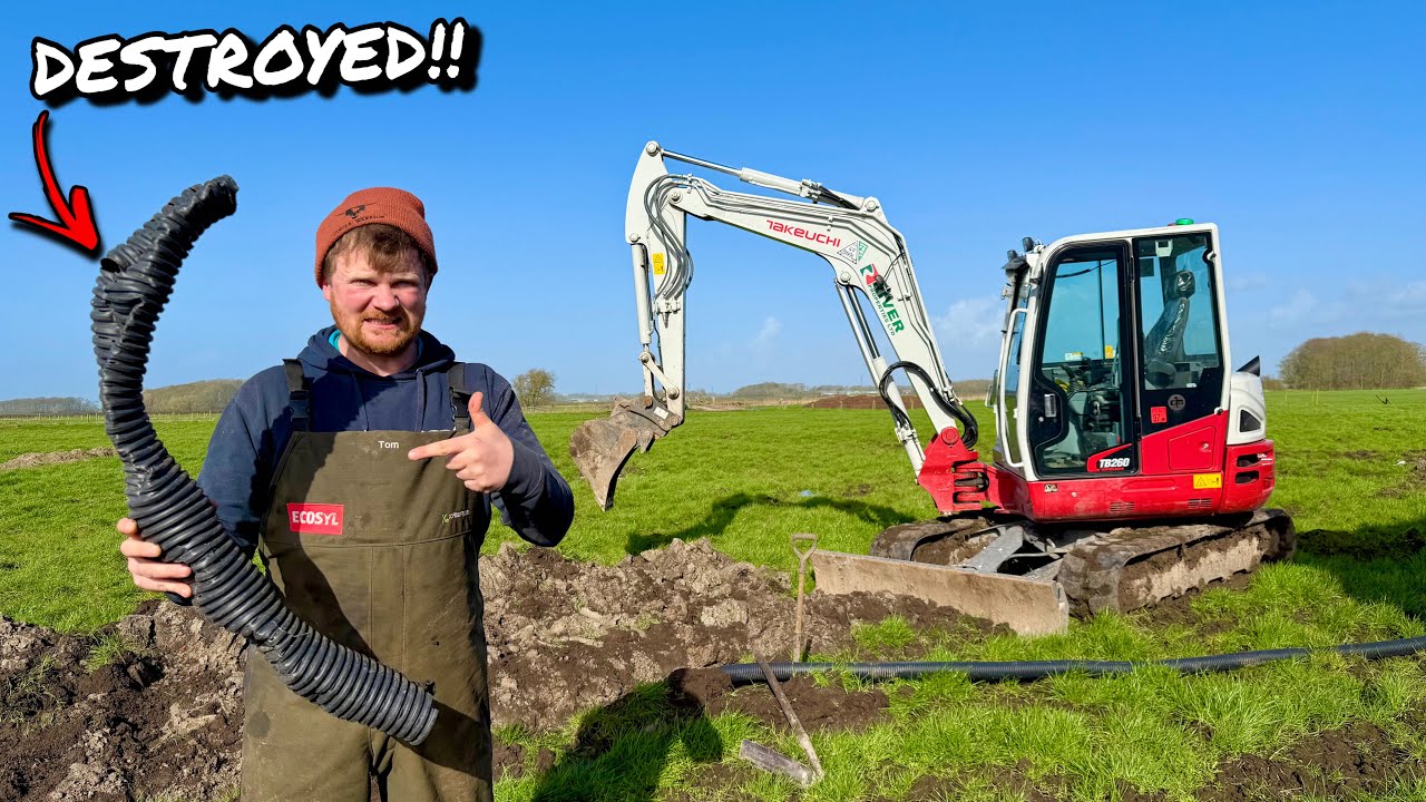 COWS HAVE DESTROYED A BRAND NEW SYSTEM!!! - YouTube
