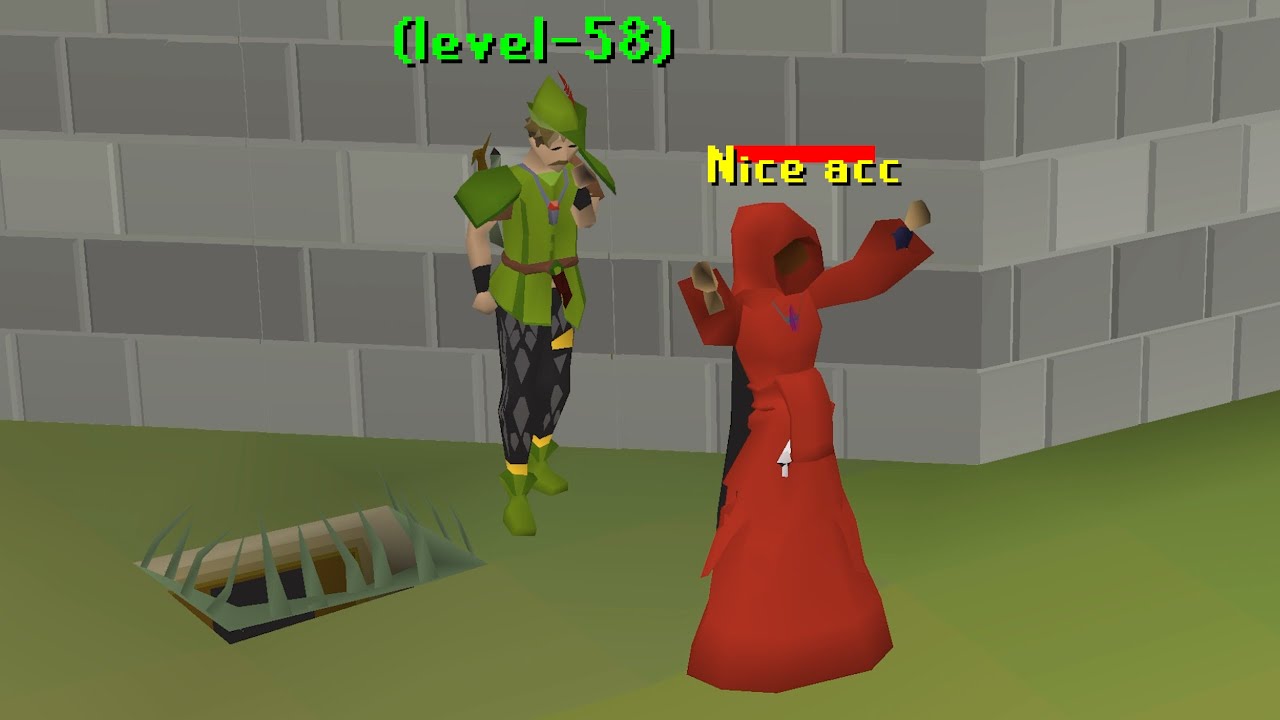 I Made The Perfect Pking Account In 9 Hours - YouTube