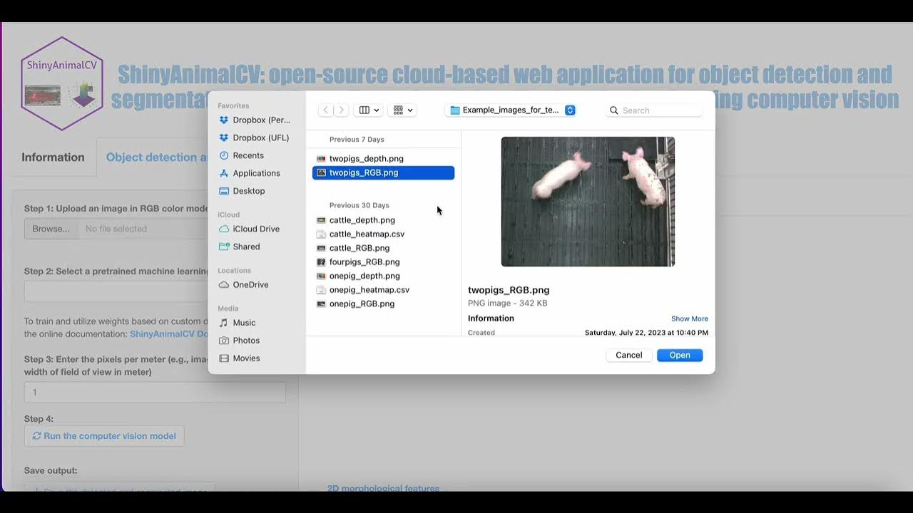 ShinyAnimalCV demo: object detection and segmentation - YouTube