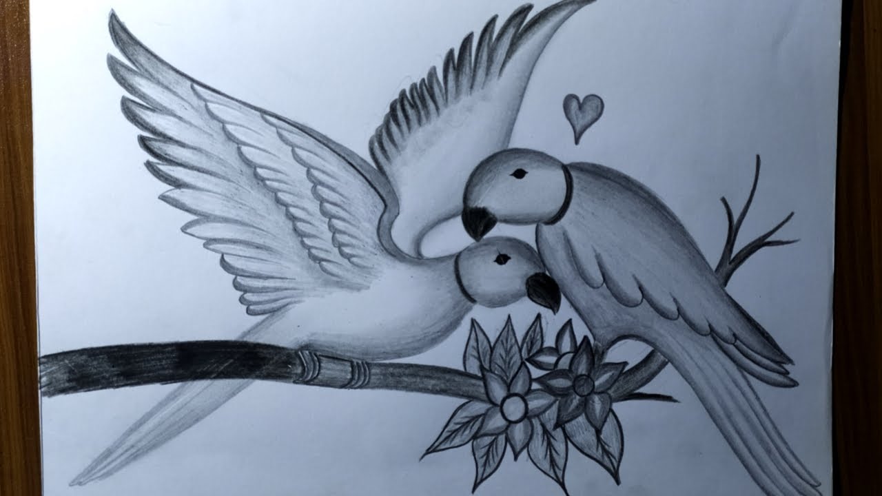 How to draw two parrots easily with pencil/Beaultiful Two Parrot Unix ...