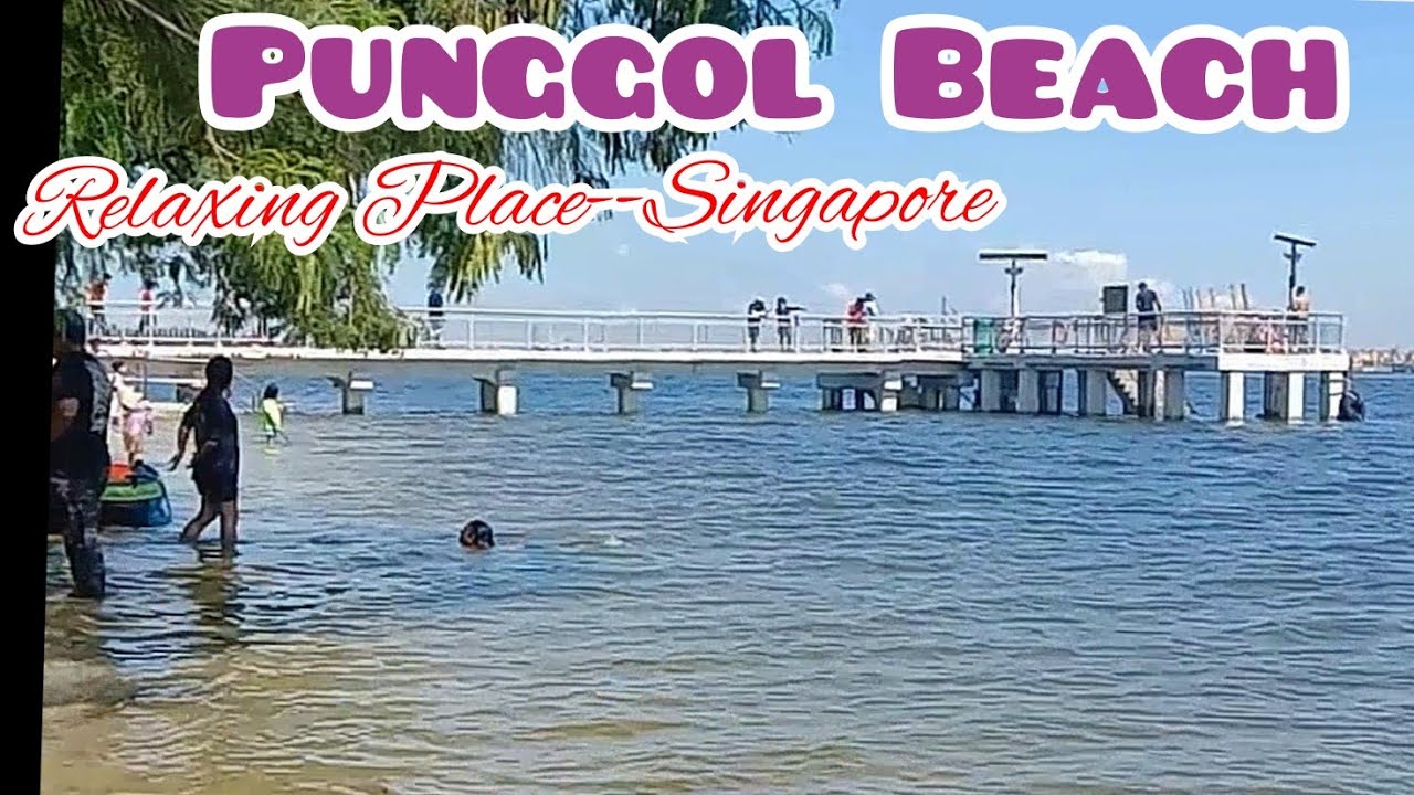 Picnic & Walking at Punggol Beach | Punggol Point Park - YouTube