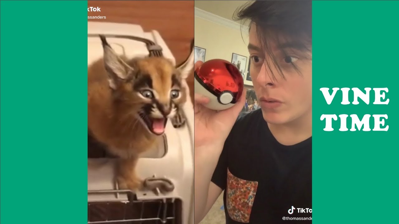 Best Tik Tok of Thomas Sanders (W/Titles), Funny Thomas Sanders Tik ...