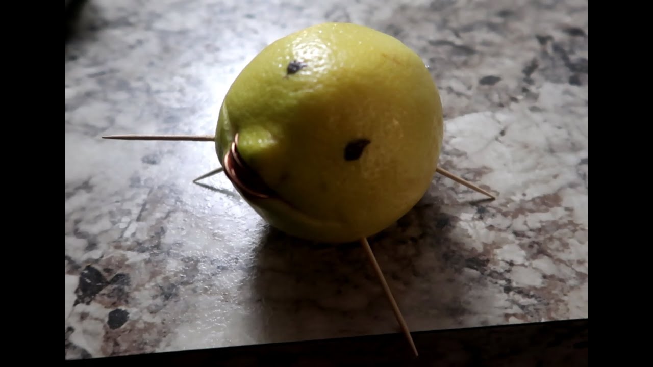 Making a Money Lemon Pig |New Year's Traditions #newyear #goodluck # ...