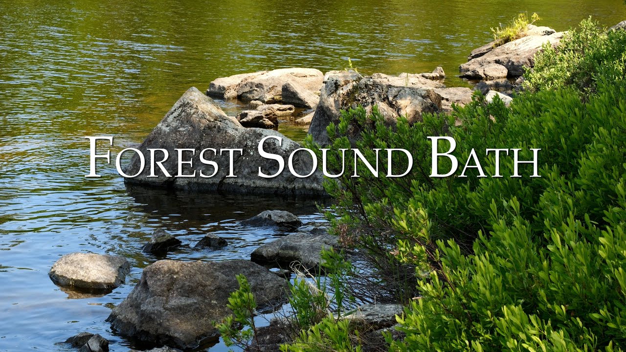 FOREST SOUNDBATH - Relax-TV - YouTube