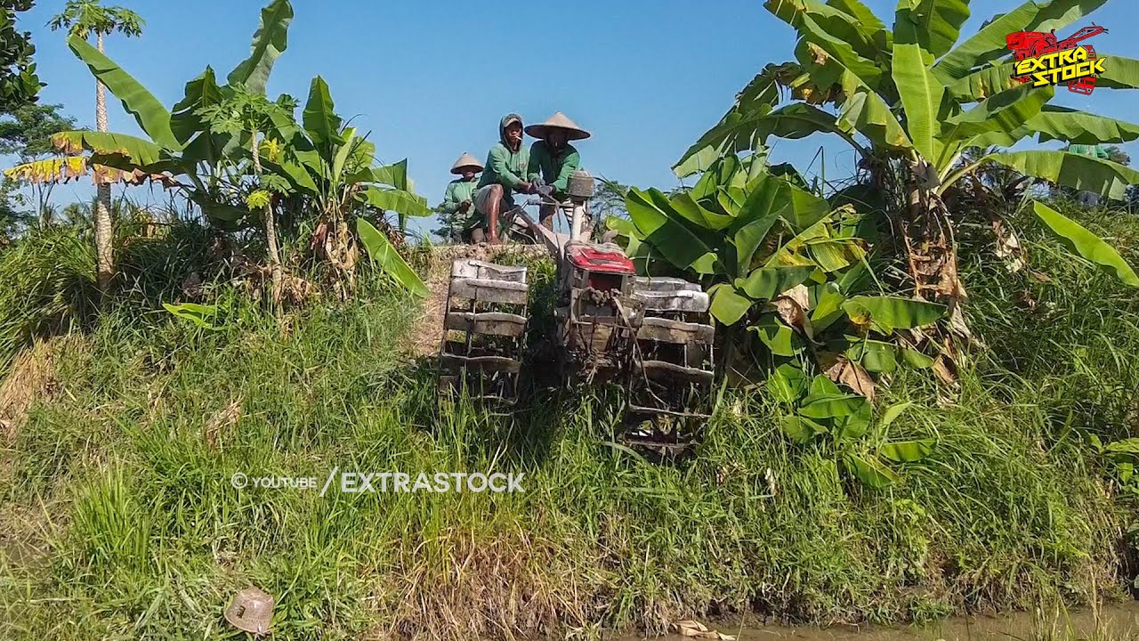 Turunan Curam! Traktor Quick G1000 Roda Modif Pindah Lokasi Garap Lahan ...