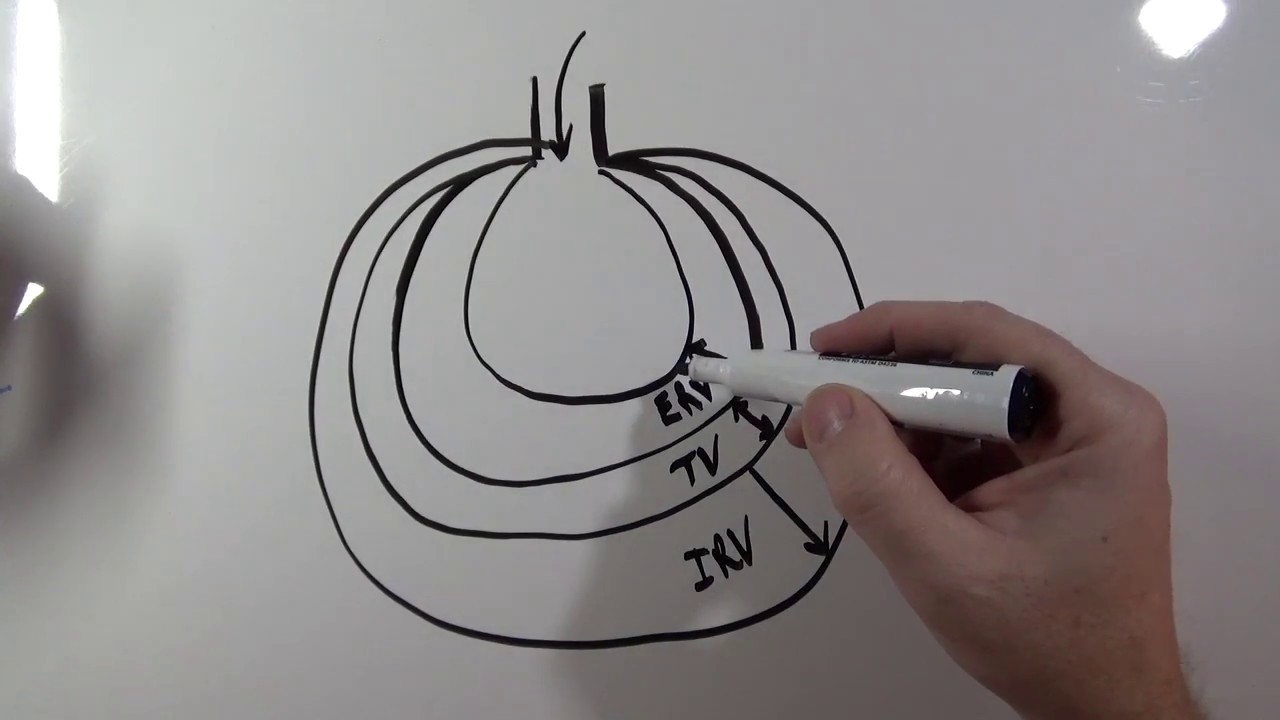 Basic Lung Volumes and Capacities: Balloon Diagram - YouTube