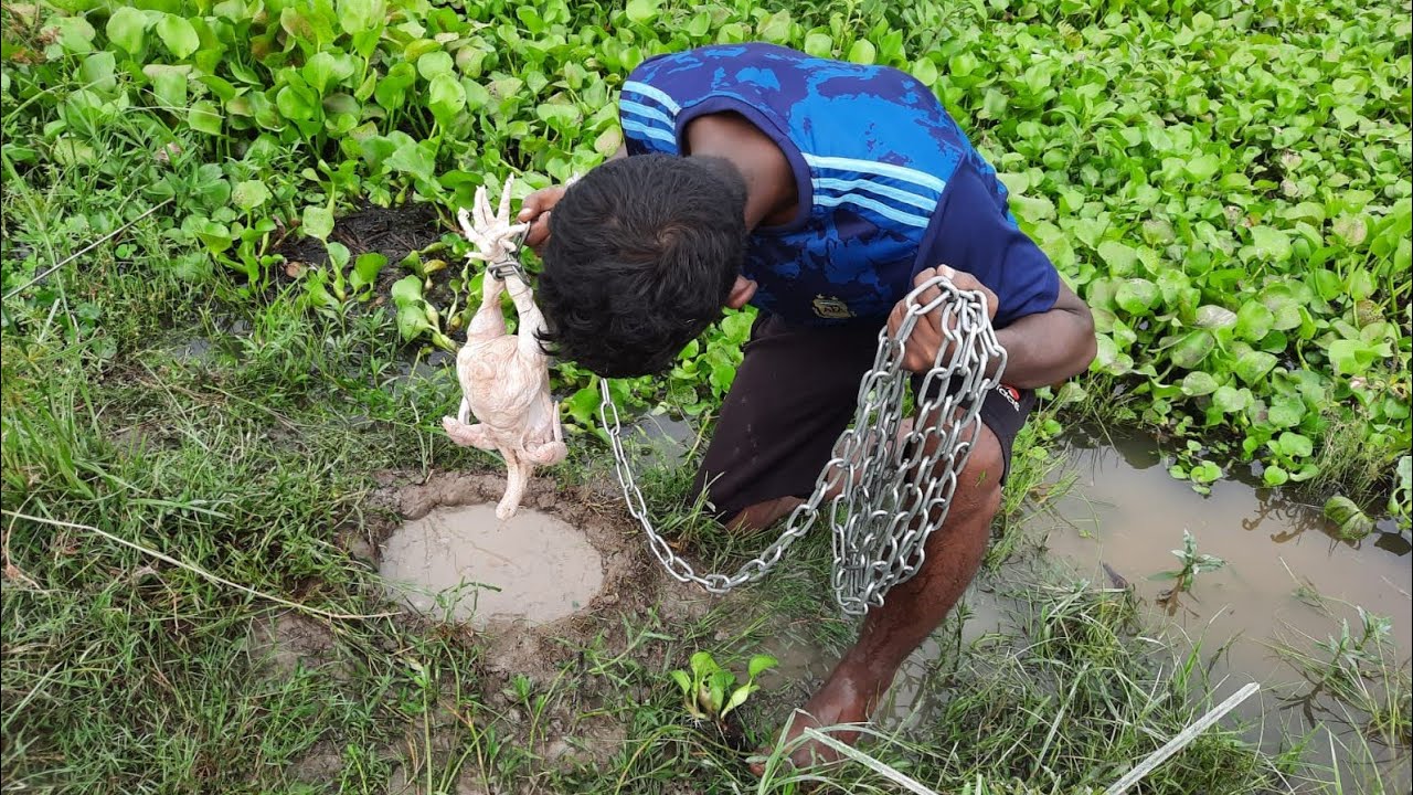 One of the best Chicken fishing techniques ️Traditional boy catching ...