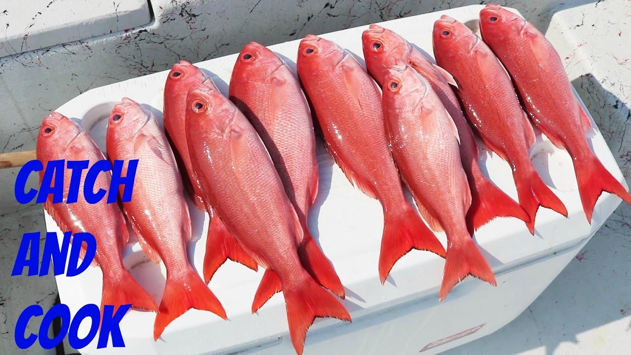 Catch and Cook | The Top 3 Best Fish Dishes I've Ever Eaten - YouTube