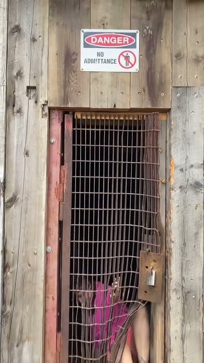 Exploring the famous Mascot Mine in Hedley, BC. - YouTube