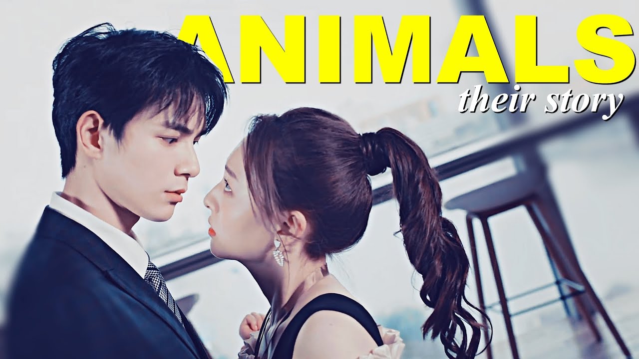 Ready for Love | Tang Jingxing Mi Chuxia || Animals [1x30] MV 结婚吗？好的 ...