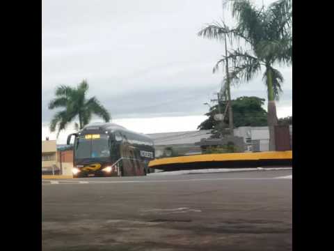 Expresso Nordeste fotos