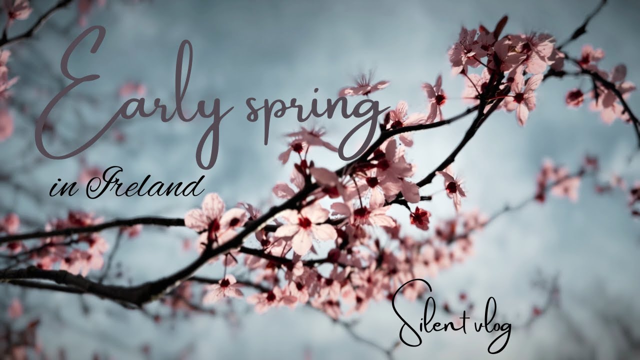 8. Spring is coming. Slow Life in The Irish Countryside | Early spring ...