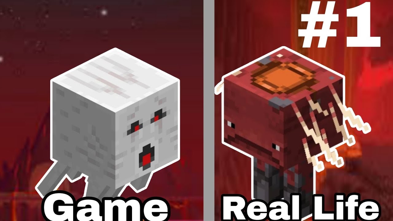 Minecraft all mobs in real life #1 [HD] - YouTube